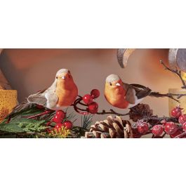 Robin Clips 2pk